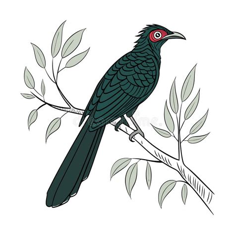 Vibrante Bornean Ground Cuckoo Imagen De Archivo Ilustración De Fauna