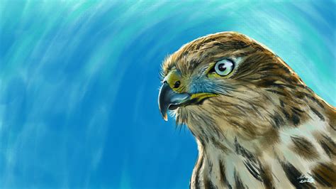 Raptor Bird Rwildlifeart