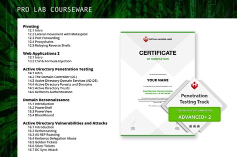 new vhl pro lab virtual hacking labs