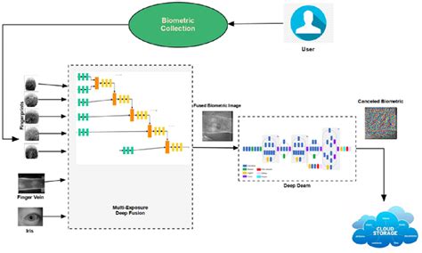 outline of proposed multi biometric cancellable system mbcs