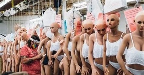 Sex Robots To Take Over Homes Next Year As Rich People Only Want One Thing Daily Star