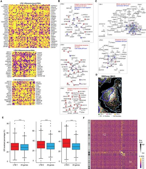 Fig S4 Protein Protein Interaction And Spatial Distribution Of Download Scientific Diagram
