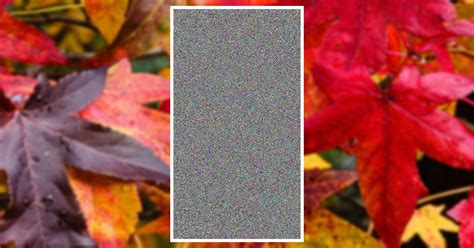 Obituary Connie Mcdaniel Bowling Funeral Home