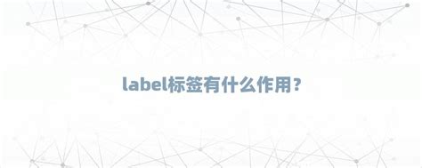 label标签有什么作用？ 密码极客