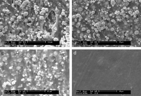The Microstructure Of The Samples Observed By An Environmental Scan Download Scientific Diagram