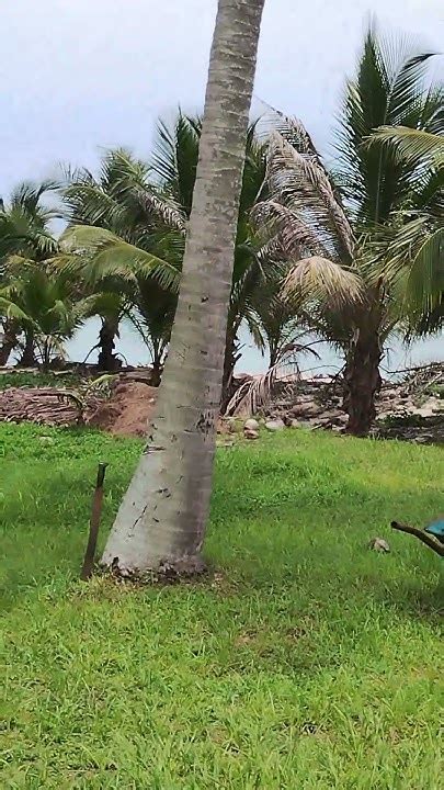 Vista Del Faro De Islas Lobos Tuxpan Veracruz Youtube