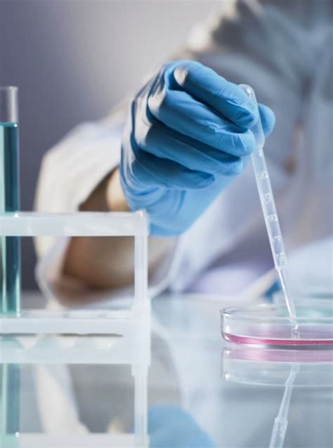 Polymer And Industrial Formulation