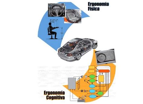 Cognitive Ergonomics Definition And Examples 2025