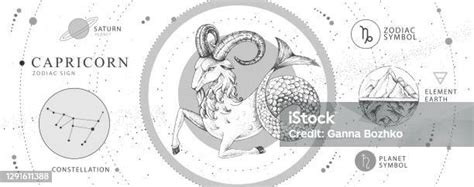 점성술 염소 자리 조디악 기호현대 마법 마술 카드 현실적인 손 드로잉 램 또는 무플론 헤드 조디악 특성 벡터에 대한 스톡 벡터