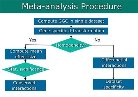 What Is Meta Analysis In A Research Paper Sewasew