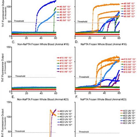 experimental quic protocol