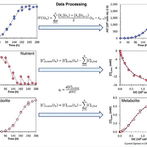 Pros And Cons Of Upstream Bioprocess Modelling Strategies And Examples Download Scientific Diagram