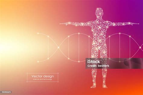벡터 분자 Dna와 인간의 몸입니다 약 과학 및 기술 개념 인체에 대한 스톡 벡터 아트 및 기타 이미지 인체 Dna 건강관리와 의술 Istock