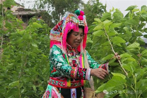 祝贺！于应香荣登2024年度第一季度“中国好人榜” 关注森林
