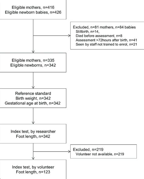Flow Chart Indicating Number Of Mothers And Newborn Babies At Each Download Scientific Diagram