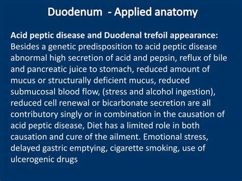 Anatomy Of Duodenum Duodenum Structure Ppt Of Duodenum Power Point Presentation Duodenum