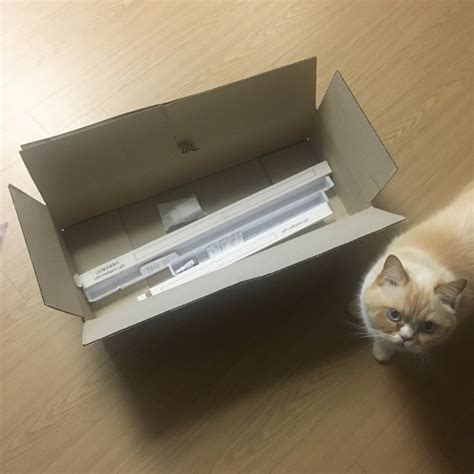 커튼박스 간접조명 쉬웠던 셀프 설치 후기t5 네이버 블로그