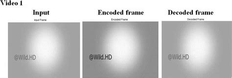 Comparison Of Input Encoded And Decoded Frame For Video1 Download Scientific Diagram