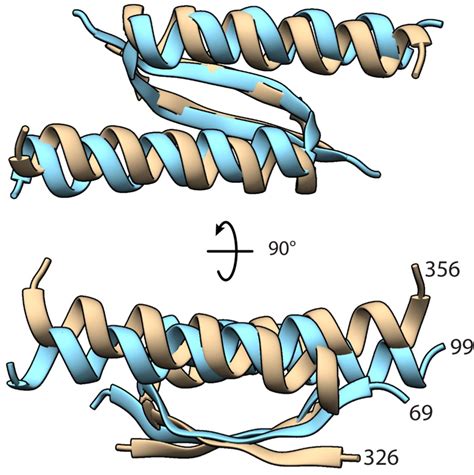 Comparison Of Ctds Of Kora Blue And Dimerization Tetramerization