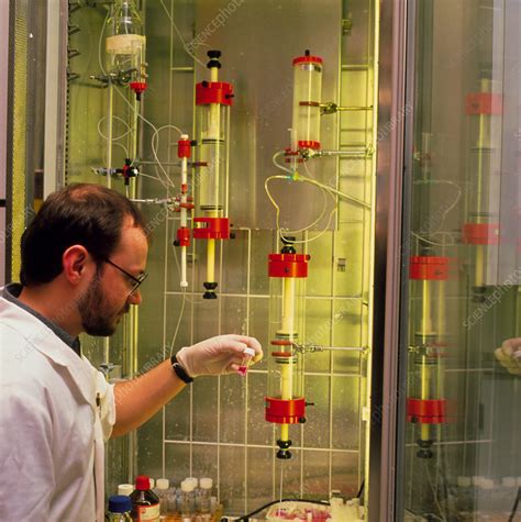 Scientist With Hplc Chromatography Columns Stock Image T875 0490 Science Photo Library