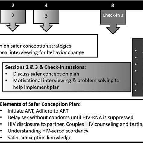 Safer Conception Conceptual Framework 1 And Key Elements Addressed By