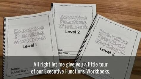 Executive Functions Workbooks By The Autism Helper Tpt