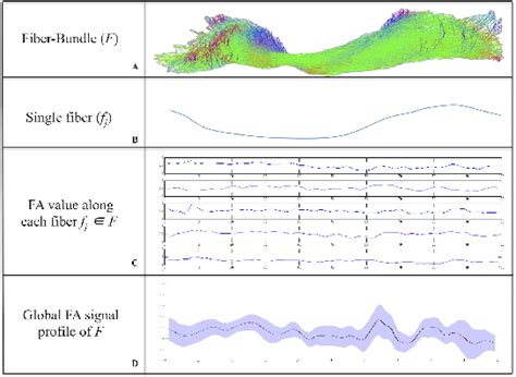 Figure 1 From Constrained Tensor Decomposition For Longitudinal Analysis Of Diffusion Imaging