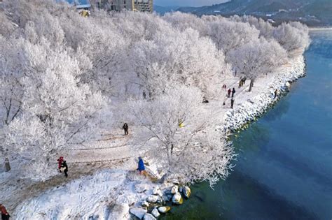 In Jilin Rime Ice Dazzles我苏网