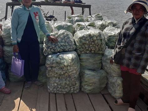 ប្រជាសហគមន៍នៅលើកោះចេក ខេត្តព្រៃវែងផ្គត់ផ្គង់បន្លែស្រស់ប្រមាណជាពី ៧តោន រហូតដល់ជាង១២តោន