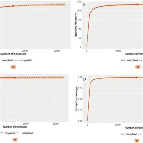 Rarefaction Solid Line And Extrapolation Curves Dotted Line Based