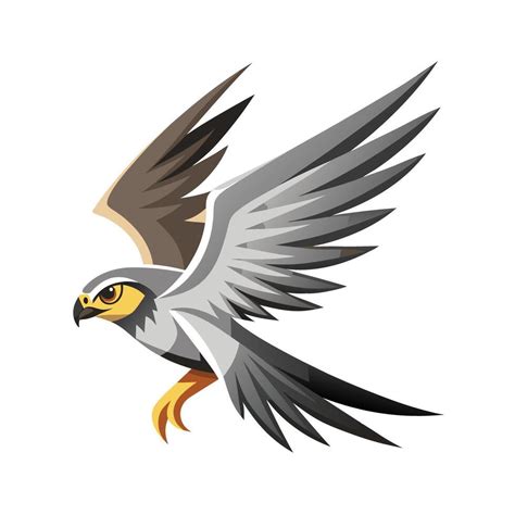 Uae Falcon Vector Uae Falcon Vector Images Over 120