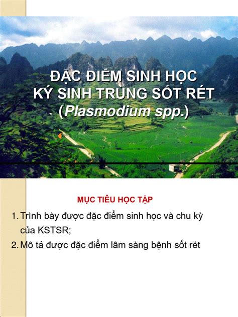 Plasmodium Spp Gây Bệnh Sốt Rét Pdf