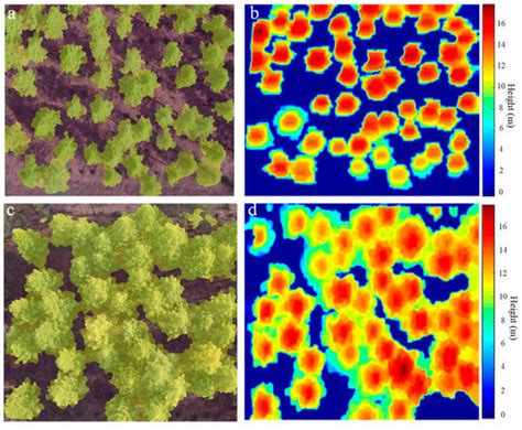 Remote Sensing Special Issue Thematic Information Extraction And Application In Forests
