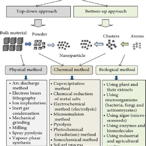 Different Approaches And Methods For Synthesizing Nps 19 Download