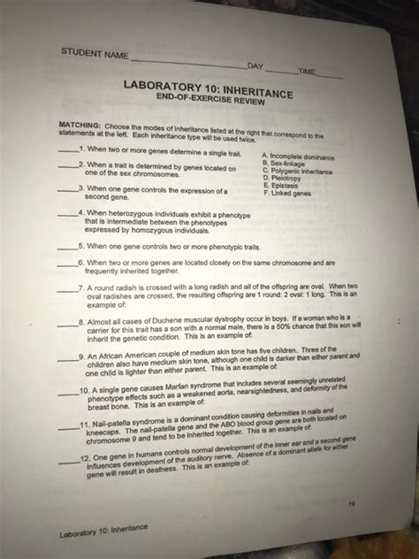 Solved Laboratory 10 Inheritance End Of Exercise Review