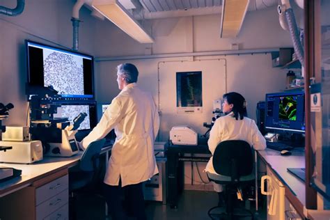 In Vitro Live Cell Internalization Of Drugs And Multiple Labelling Imagene It