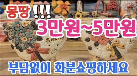 11월13일 몽땅 3만원~5만원 부담없이 화분쇼핑하세요꽃담다육스토리예쁜화분화분싸게파는곳다육식물多肉植物succulents다육이꽃담화분다육화분꽃담다육스토리