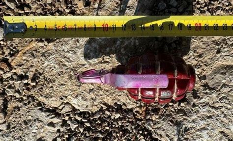 Обезвредиха ръчна граната в частен имот в София Информационна агенция ПИК