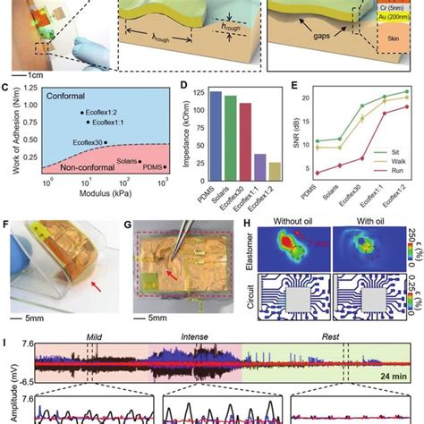 development of cnn‐based algorithms for real‐time monitoring and