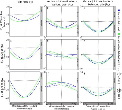 Joint Variation Graph