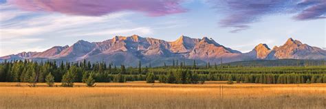 Livingston Range