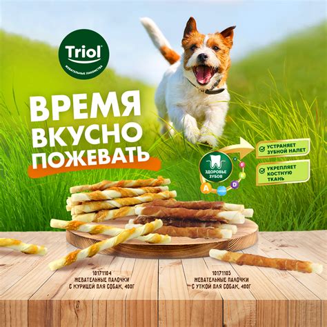 Жевательные палочки с курицей для собак, 400г, Triol в Москве | TRIOL