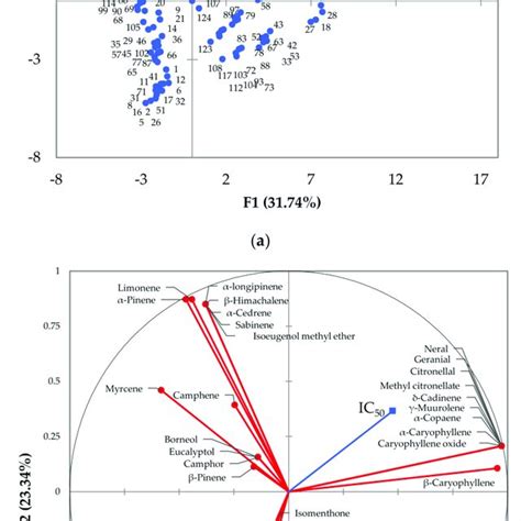 Principal Component Analysis Scores Plot A And Loadings Plot B