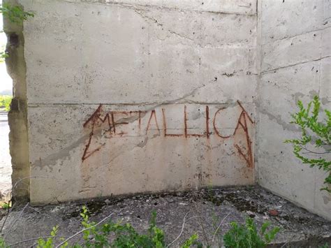 Металлика, Metallica. | Plants