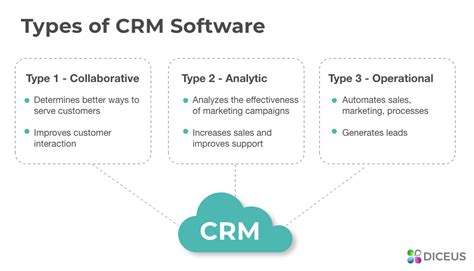 Bespoke Crm Software For Large Companies 5 Reasons To Develop