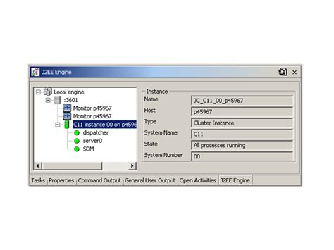 Starting And Stopping The SAP Web AS J EE System Windows