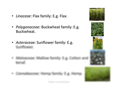 SOLUTION Crop Classification Studypool