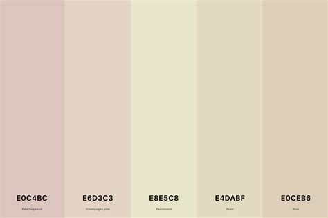 25 Best Beige Color Palettes With Names And Hex Codes Creativebooster