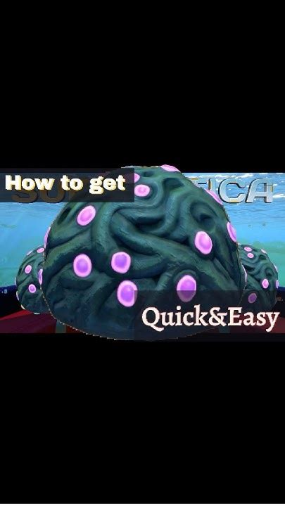 Tiphow To Get Gel Sacks In Subnautica Youtube