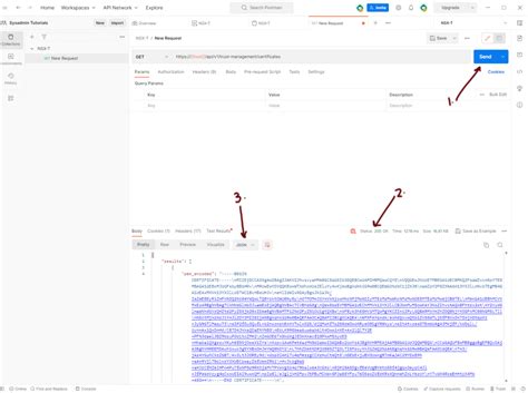 VMware NSX T API How To Use Postman Beginners Empowerment Guide